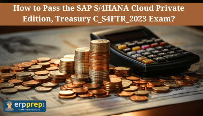 SAP S/4HANA Cloud Private Edition Treasury Simulator | ERPPrep